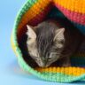 Crochet Cat Sack Hideaway ⋆ Dream a Little Bigger
