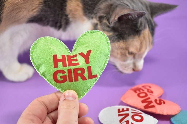 What a cute way to share Valentine's Day with your kitties! These ...
