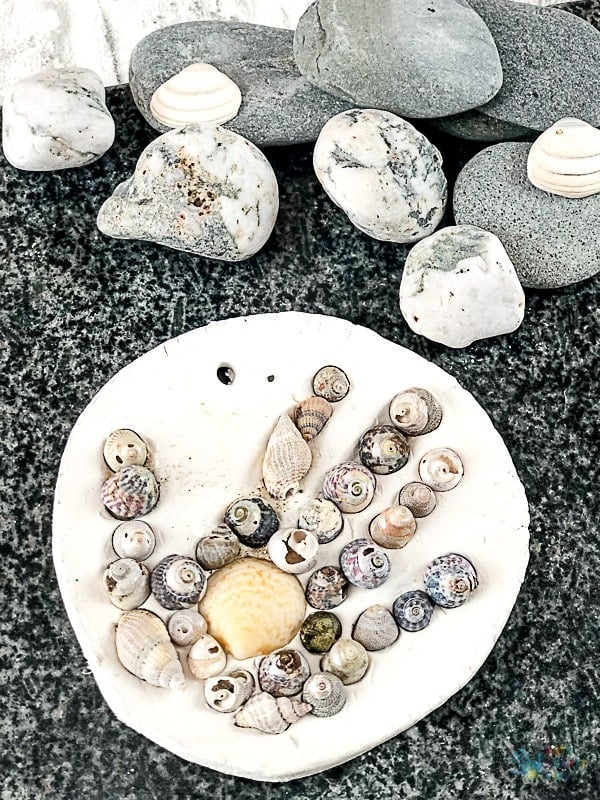 Seashell Crafts and Summer Fun ⋆ Dream a Little Bigger