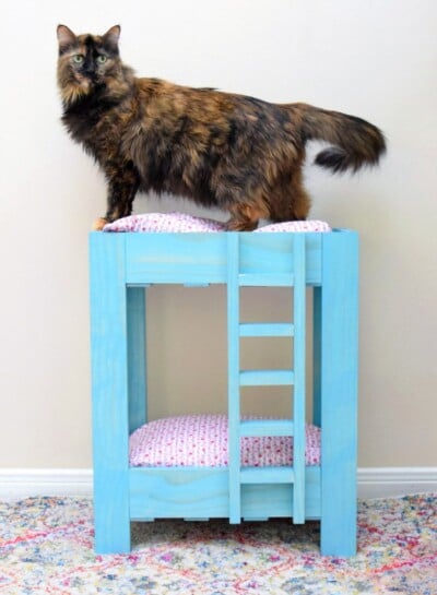 20+ Cat Crafts and DIY Projects for Play and Home ⋆ Dream a Little Bigger