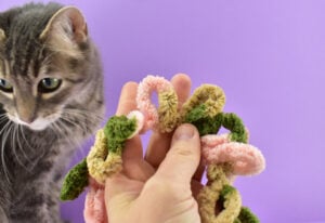 How to Make an Easy DIY Loop Rug ⋆ Dream a Little Bigger